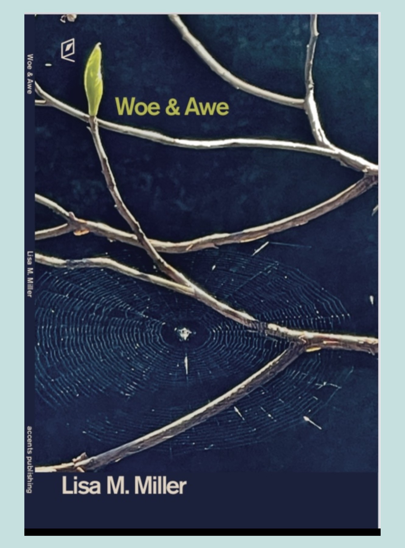 Woe & Awe | Jewish Book Council